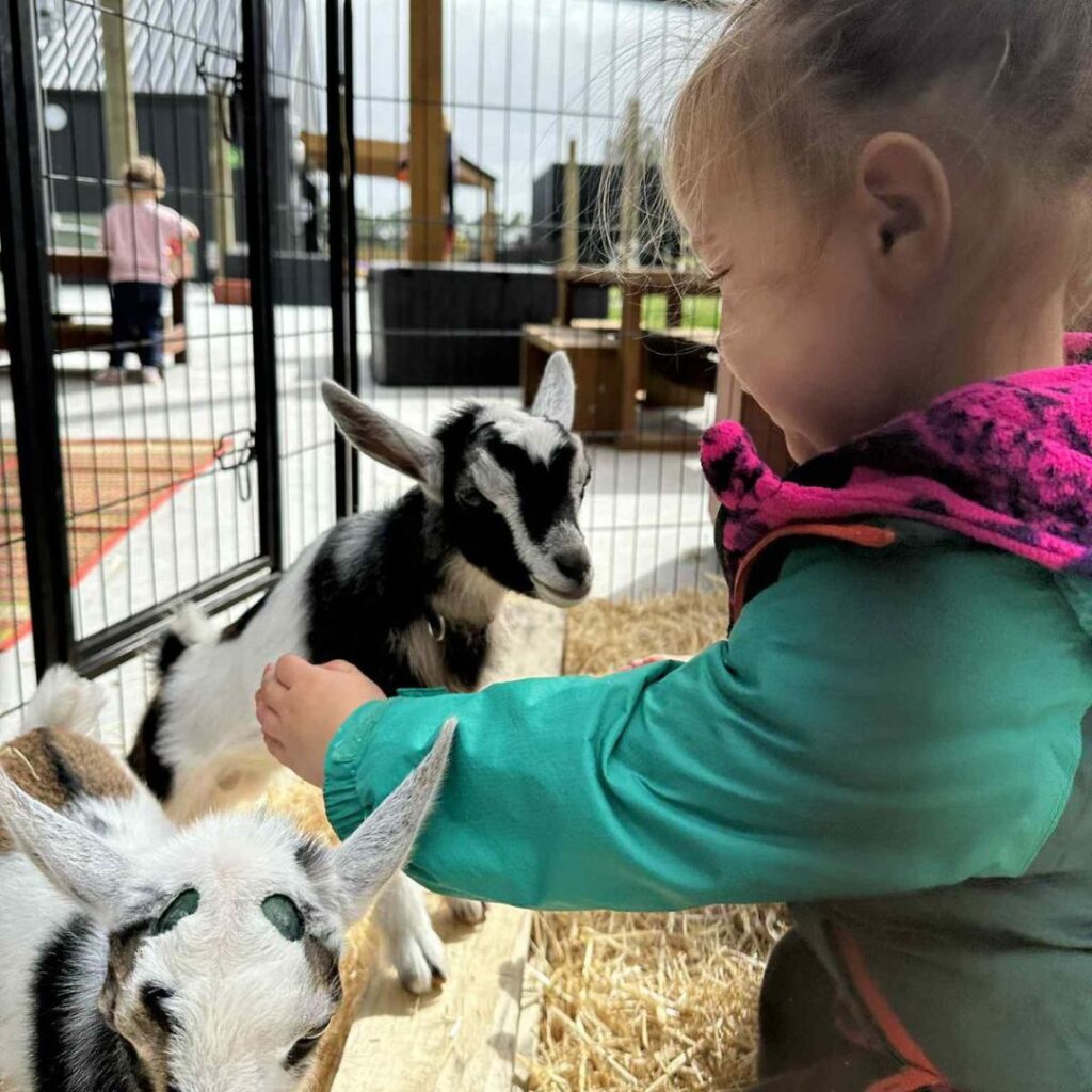 Young Farmers Childcare Centre – Locally Grown